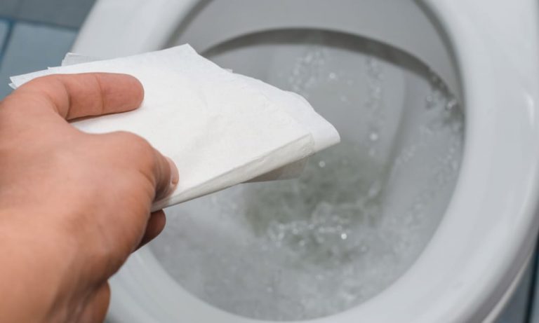 How to Dispose of Toilet Paper Properly - DisposeOfThings.com