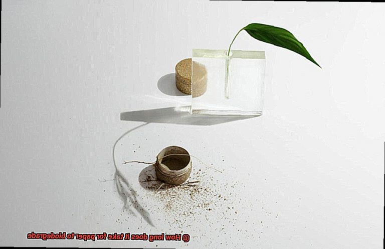 How long does it take for paper to biodegrade? - DisposeOfThings.com